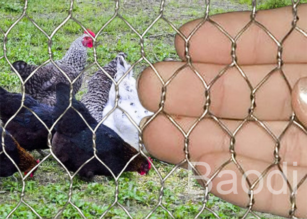 Stainless Chicken Wire Fabric For Rabbit Protection , Low Carbon Steel ...