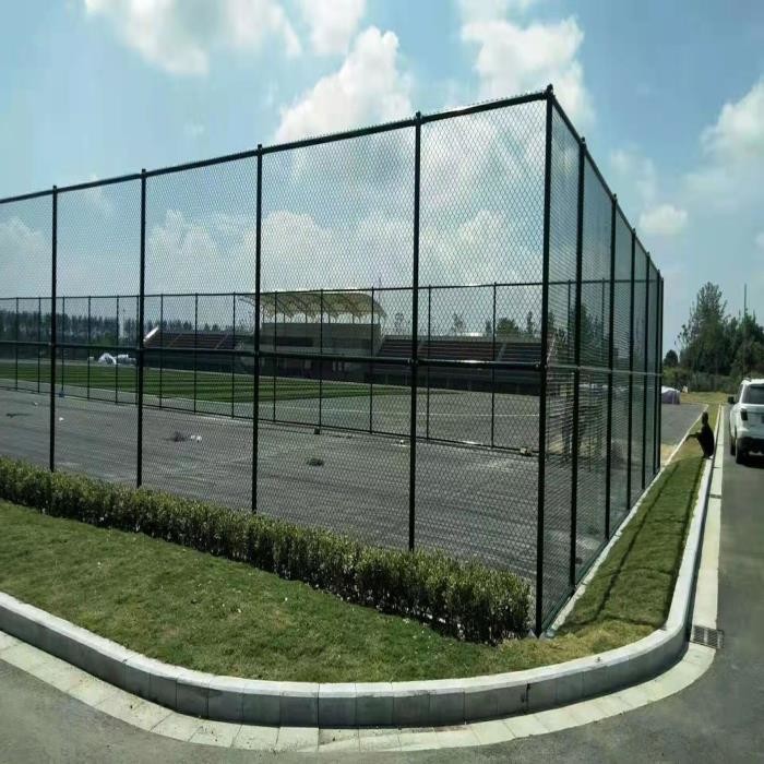 8ft Hot Dipped Galvanized PVC Chain Link Fence Rockfall Protection ...